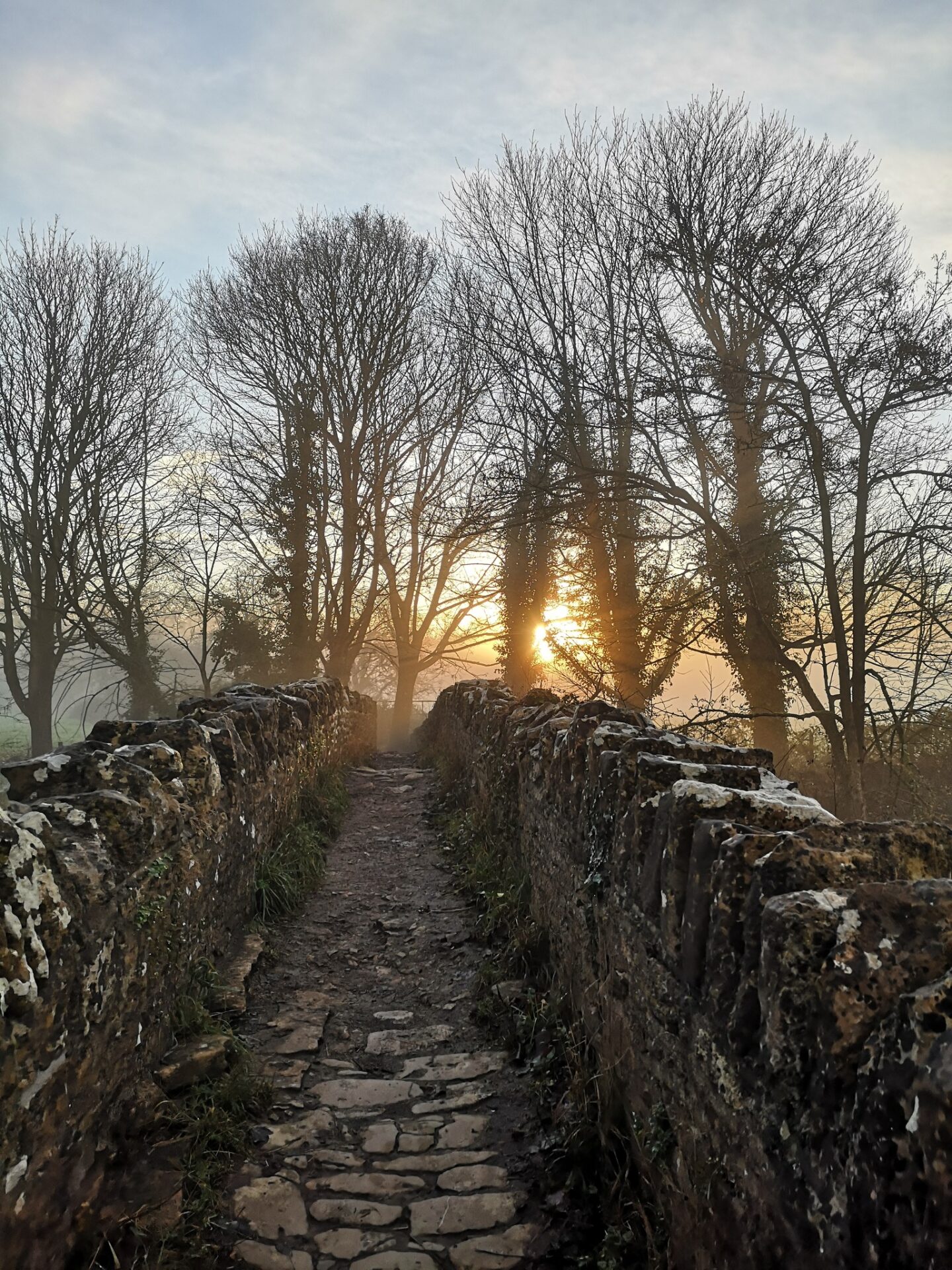 Natural Environment - Rode Parish Council