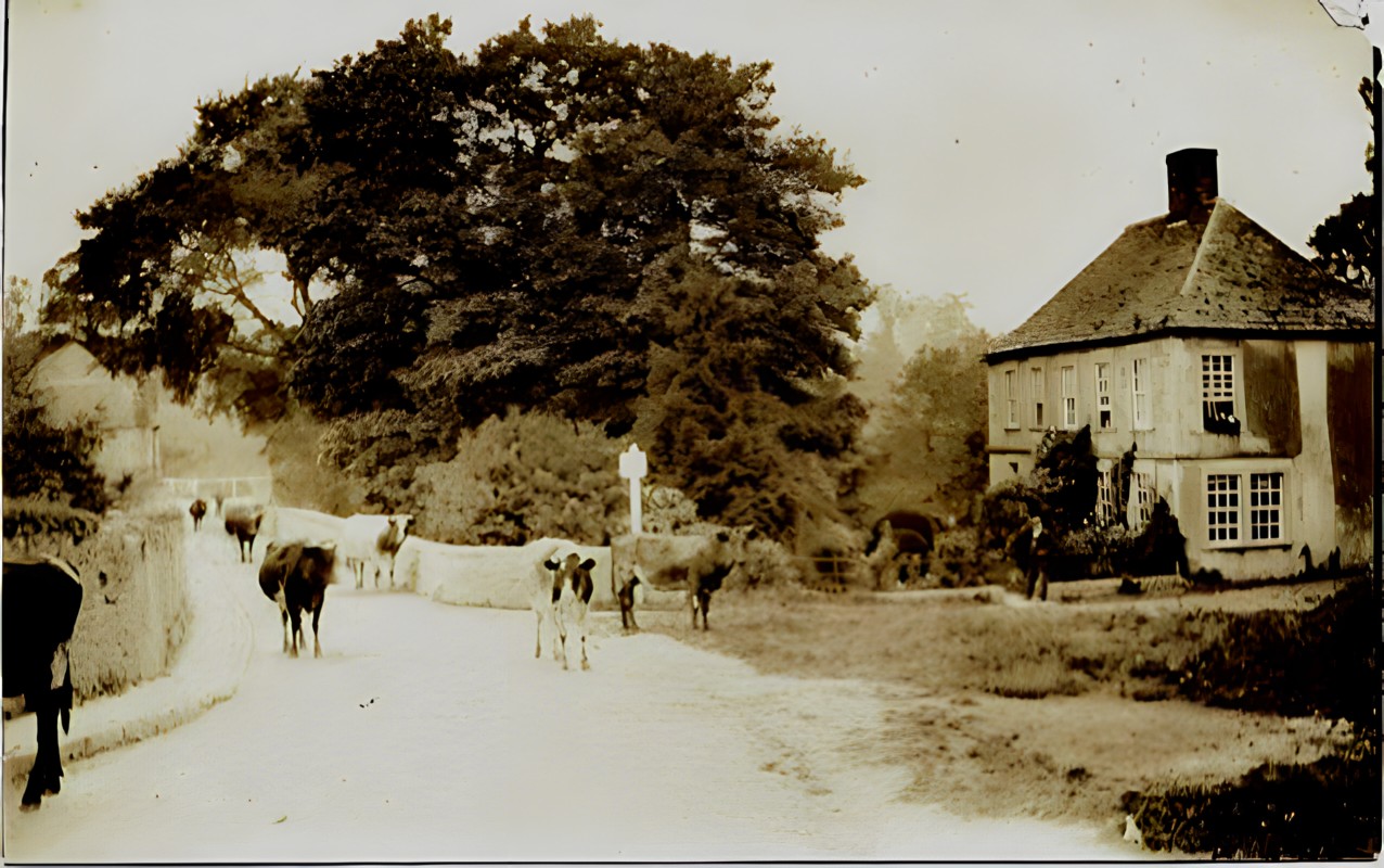 Rode Bridge - Rode Parish Council